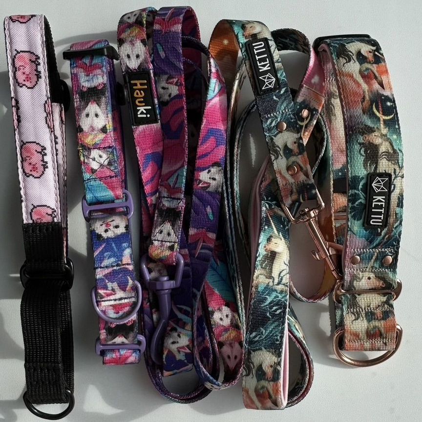 Амуниция для собак из Польши