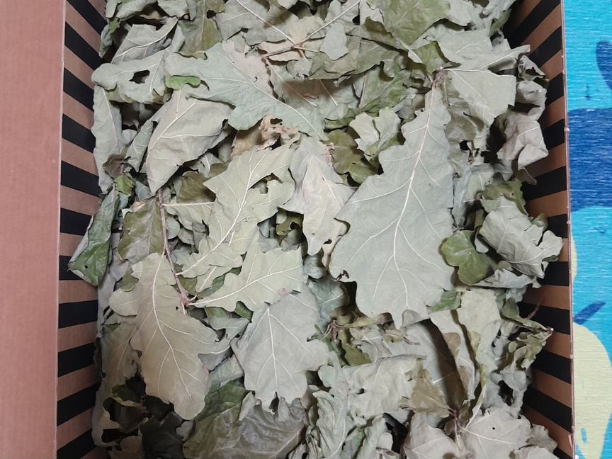 Листья сушеные для животных