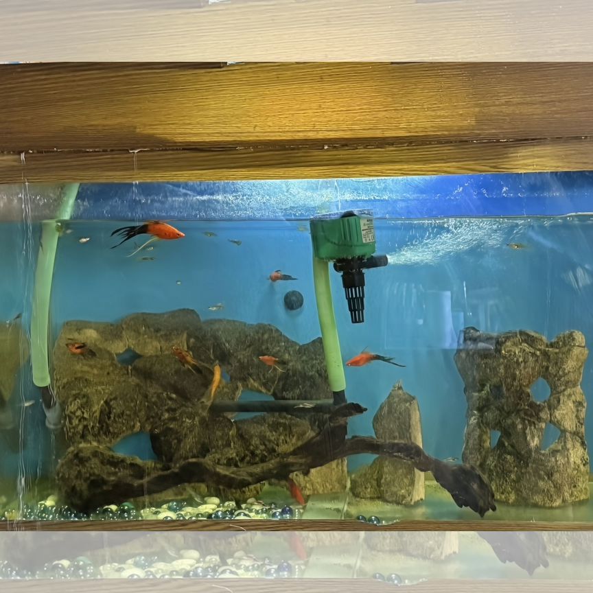 Аквариум с рыбками 100 литров
