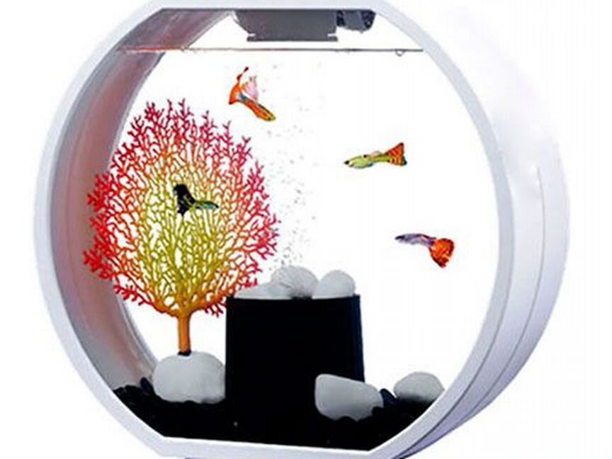 Аквариум со всем необходимым