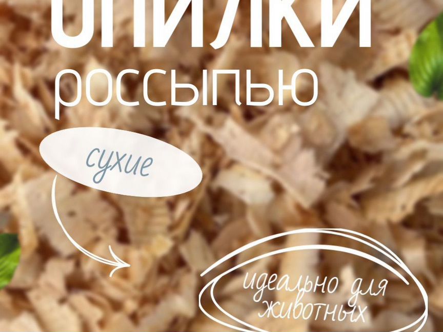 Опилки (стружка) сухие, чистые