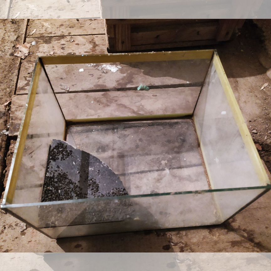 Аквариум для питомца