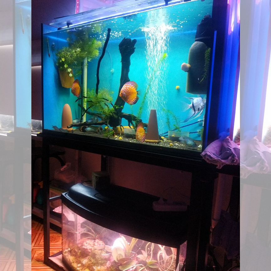 Аквариум 300 литров