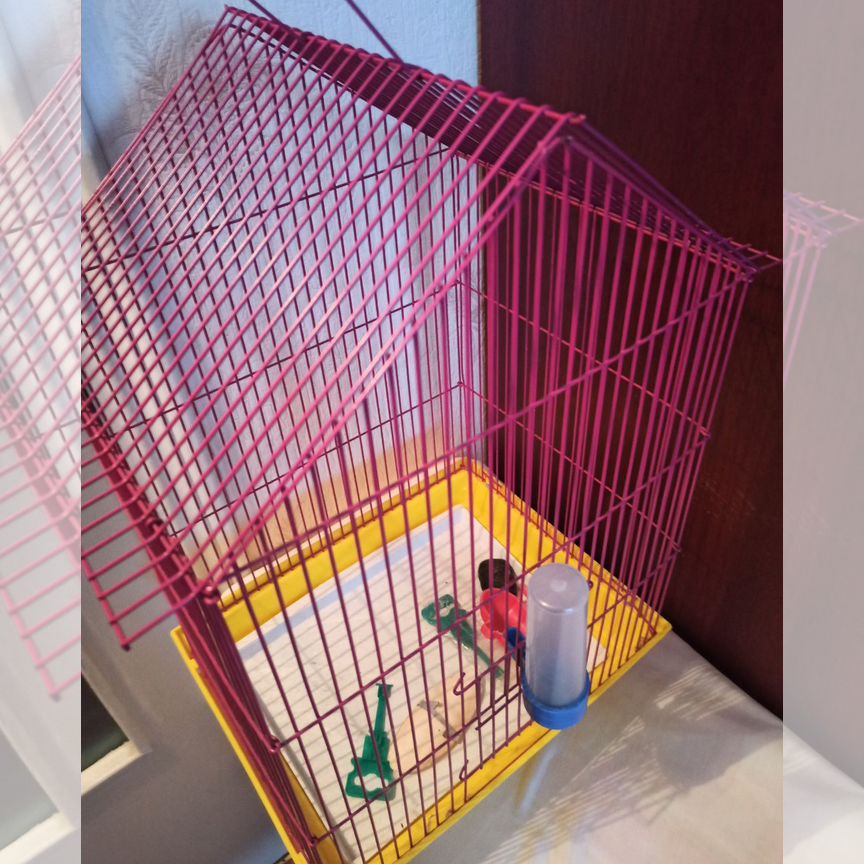 Клетка для попугая бу