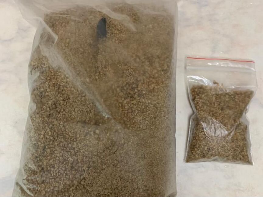 Корм для рыб дафния