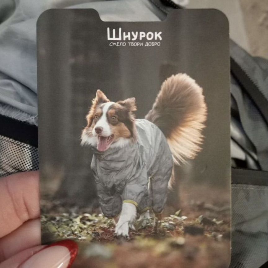 Дождевик для собаки