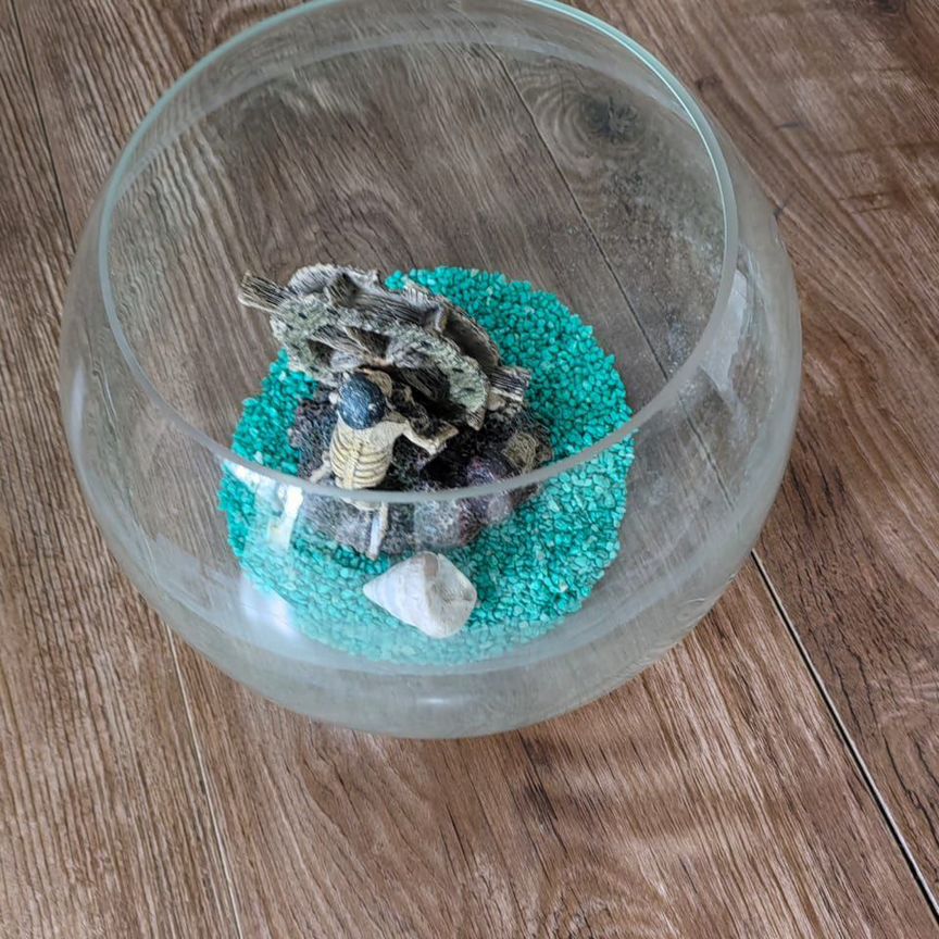 Аквариум для рыбок