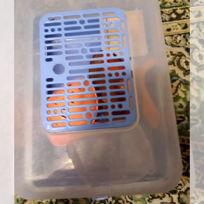 Контейнер для хомяка с аксессуарами