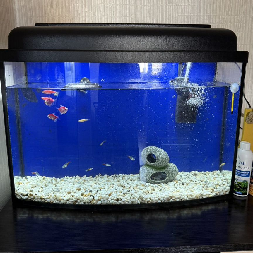 Аквариум полный комплект