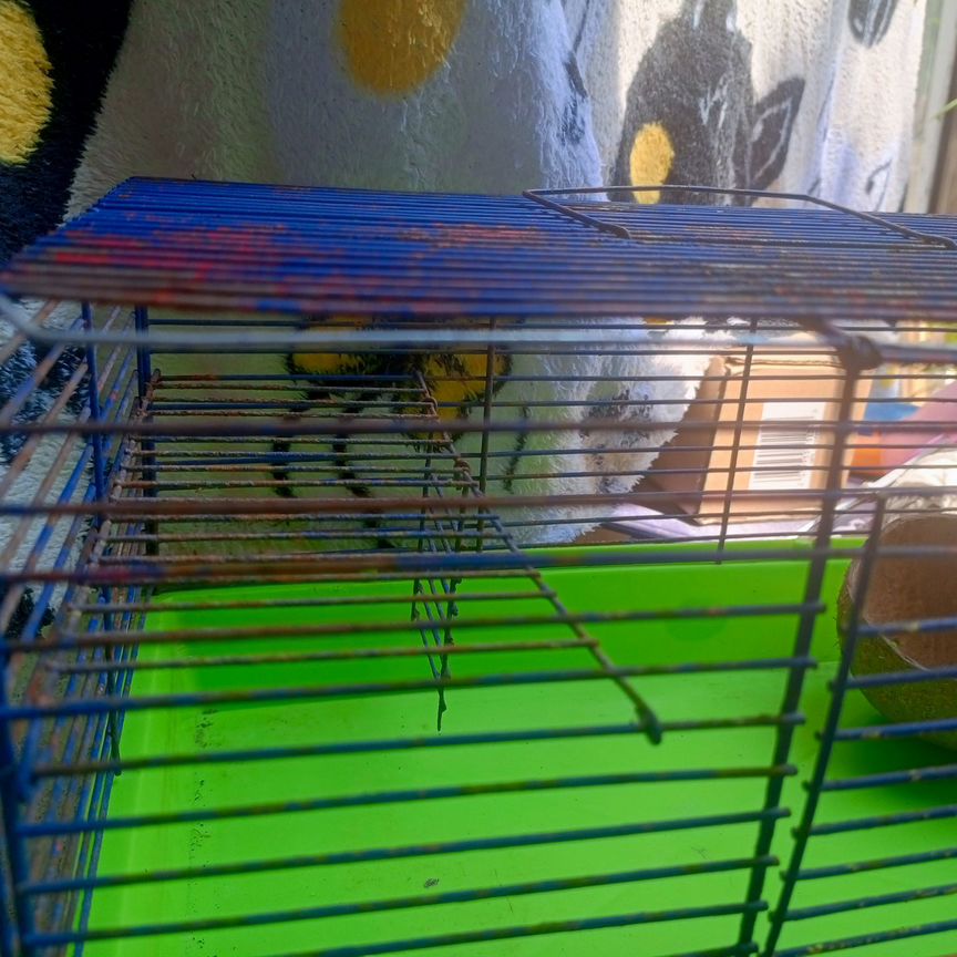 Клетка для грызунов