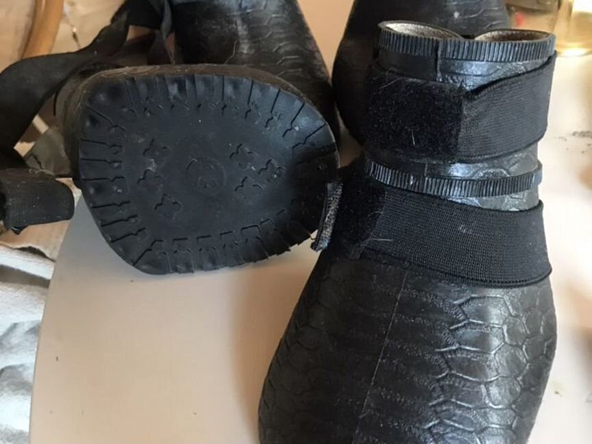 Сапоги для большой собаки