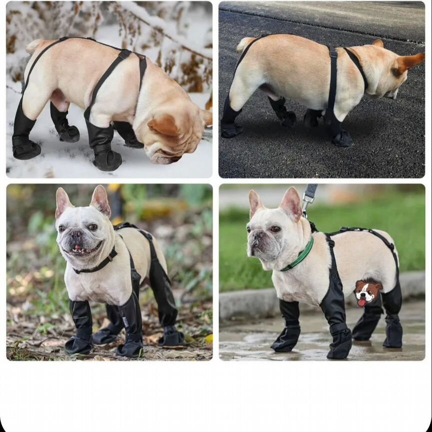 Непромокаемая обувь для собак мелких пород