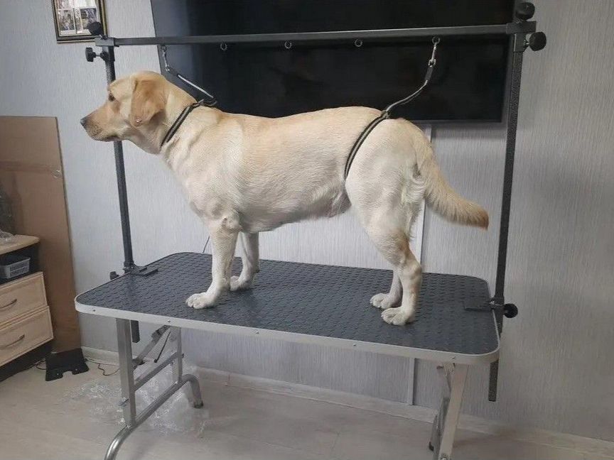 Стол для груминга (От производителя)