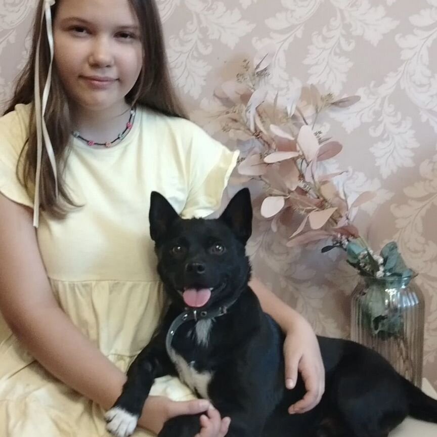 Некрупный песик Винни