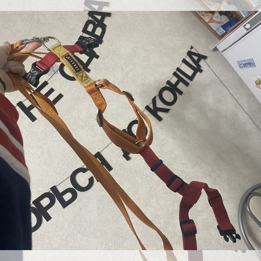 Шлейка и поводок sobakin