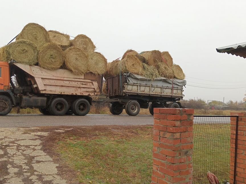 Продам степное сено в рулонах,возможно доставка