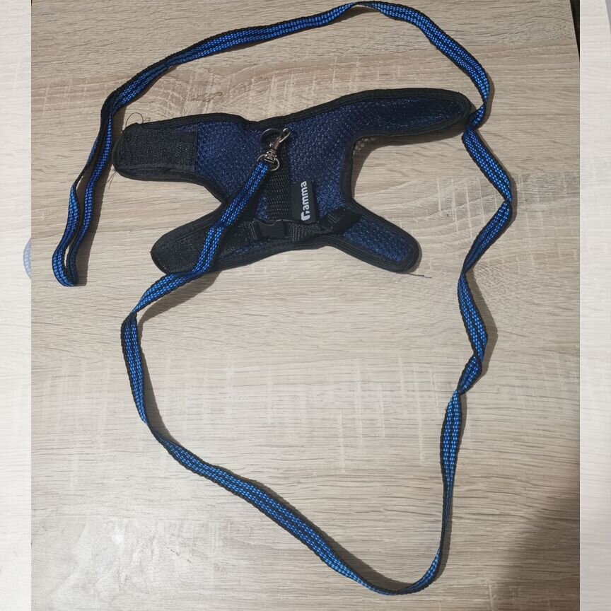 Шлейка с поводком для выгула грызунов