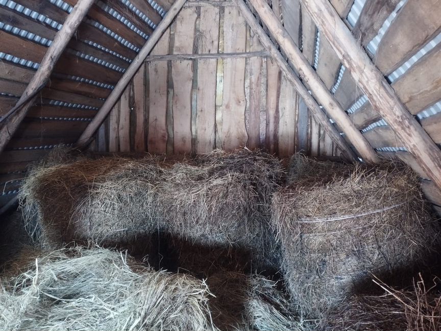 Продам сено в рулонах