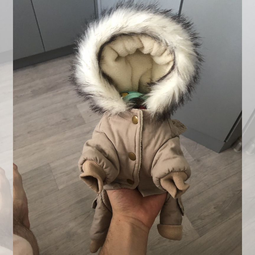 Зимний костюм для маленьких собак