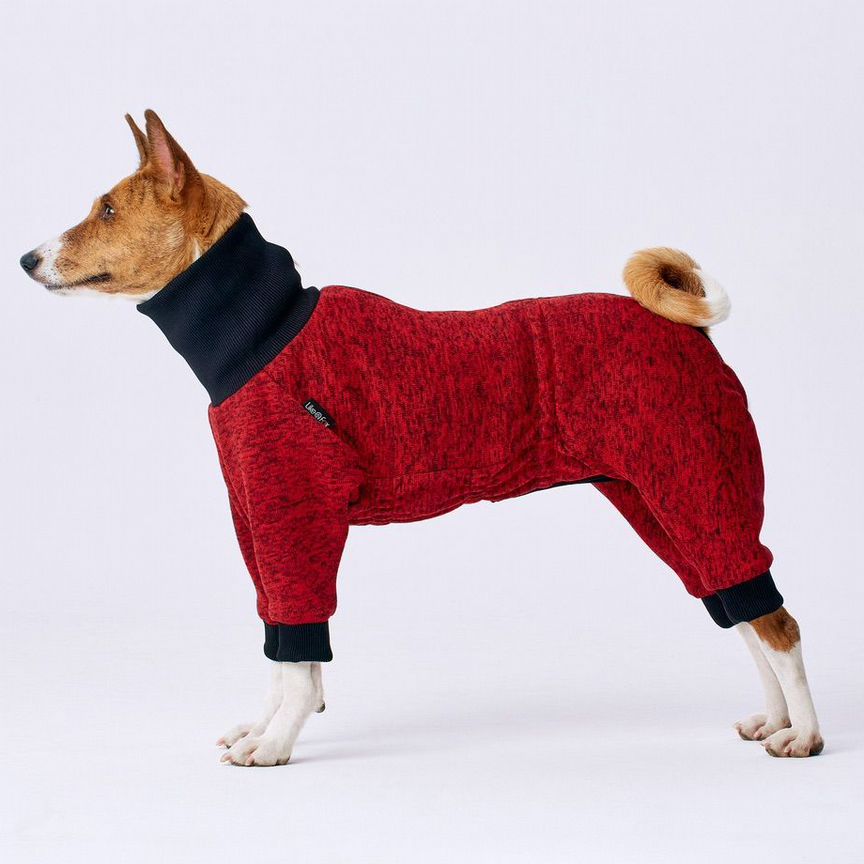 Трикотажный комбинезон для басенджи S