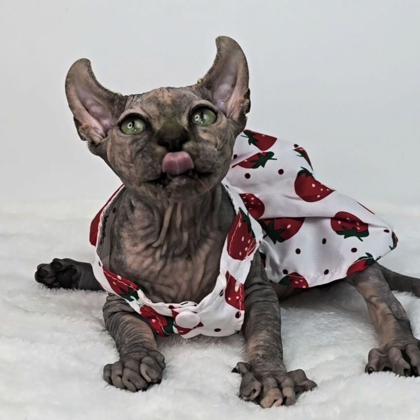 Эльф девочка