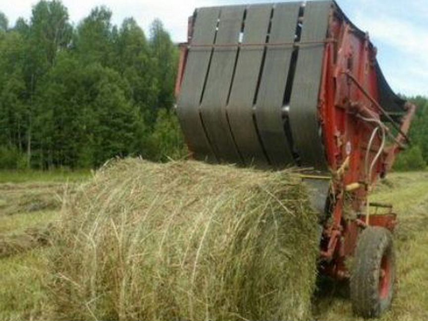 Сено в рулонах