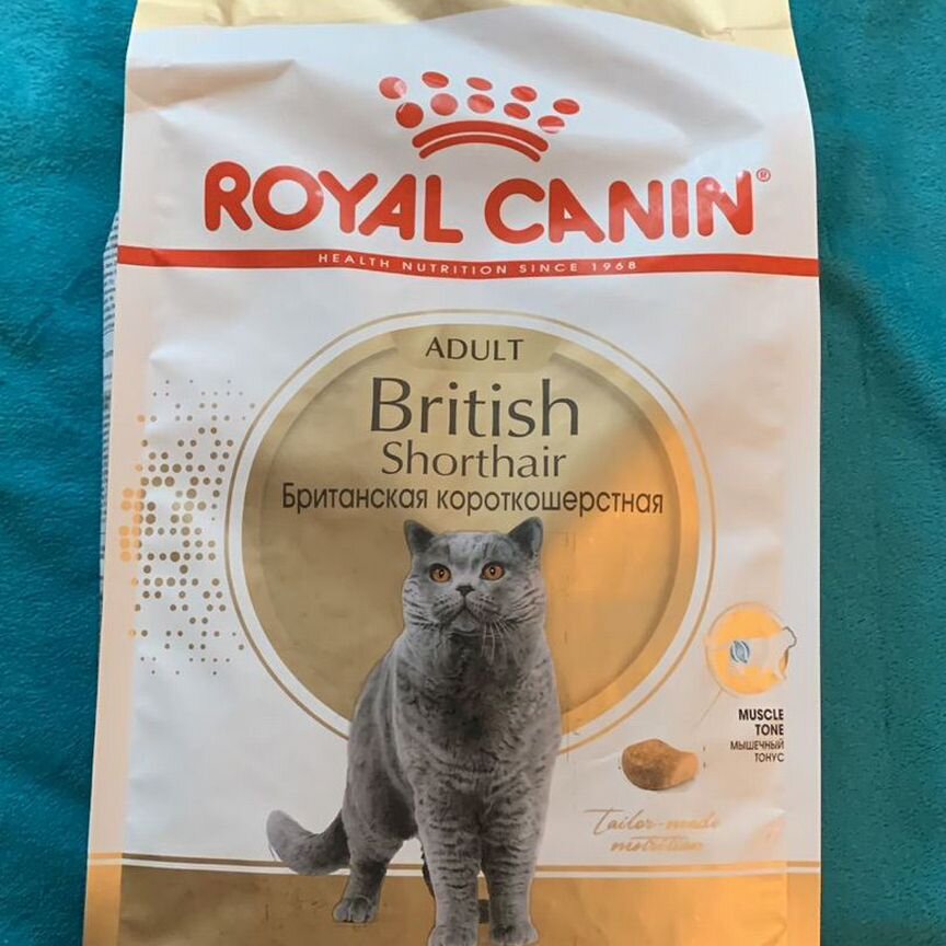 Корм для кошек royal canin british 2 кг