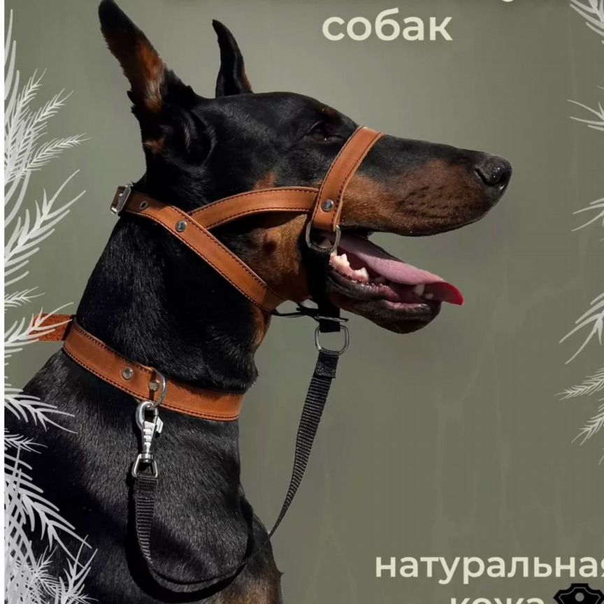 Халти/недоуздок для собак