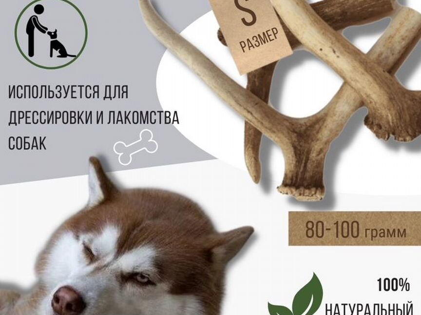 Погрызушки для собак