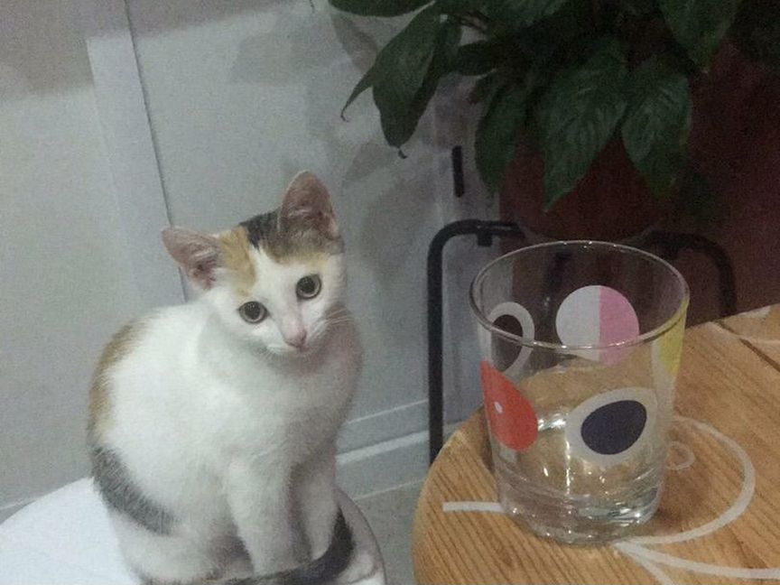 Чудо-ребёнок