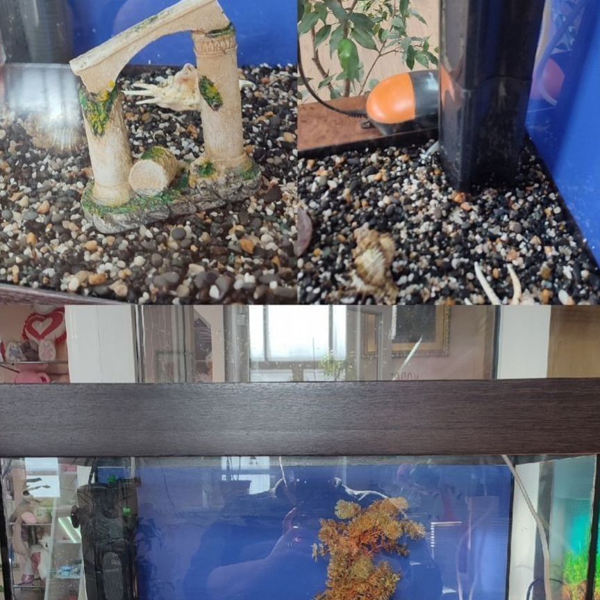 Аквариум со всем оборудованием и декором