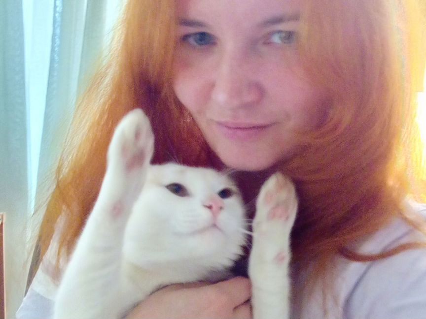 Беспородные котята