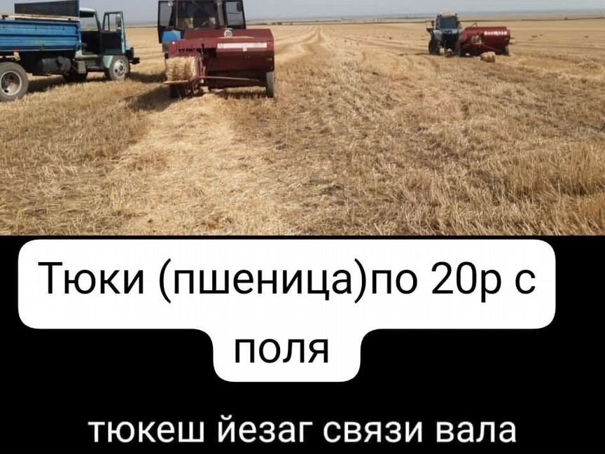 Солома в тюках