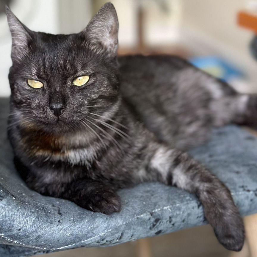 Гаечка в самые отвественные руки