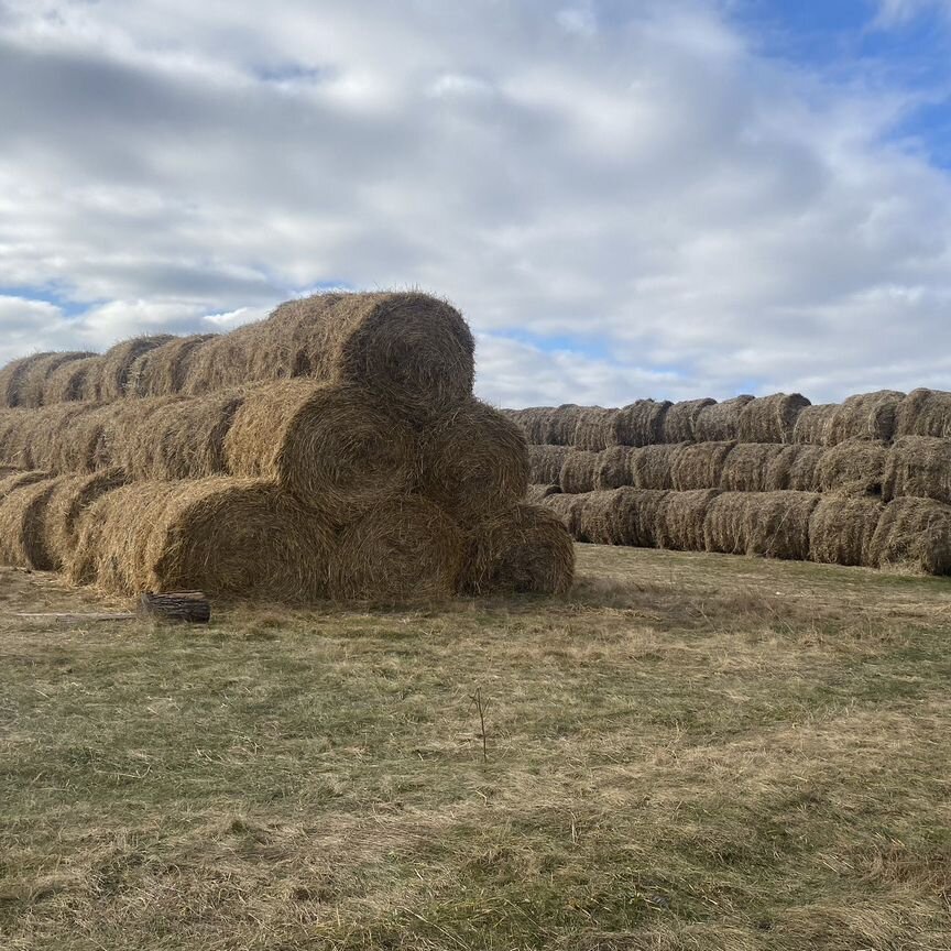 Солома в рулонах