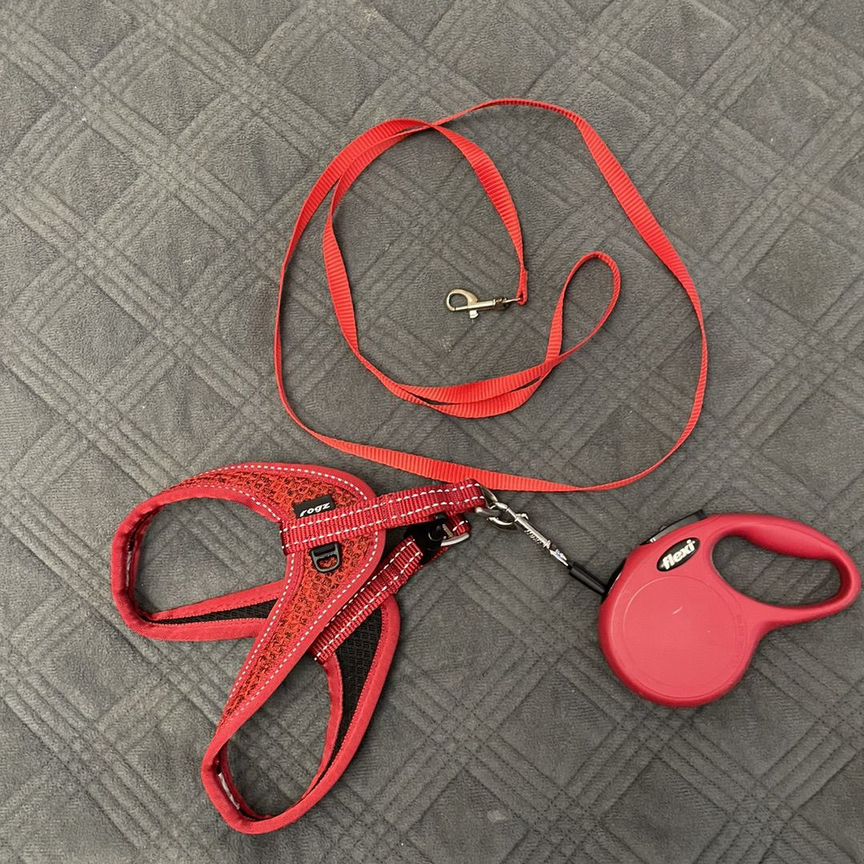 Шлейка с поводком для мелкой собаки