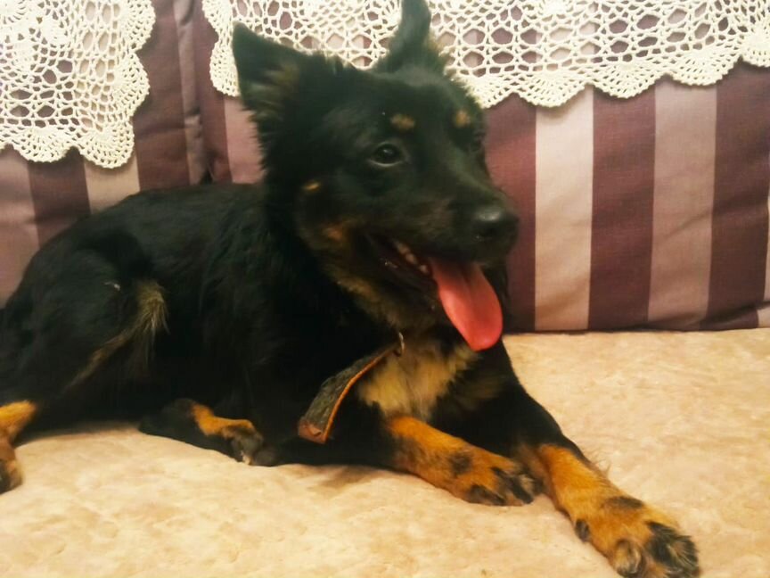 Охранник с не простой судьбой