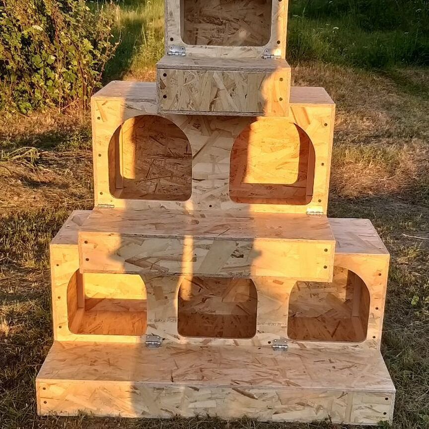 Гнездо для кур с яйцесборником