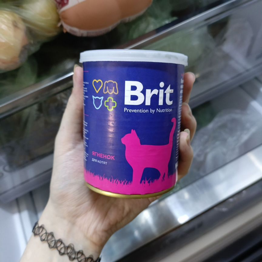 Brit консервы для котят
