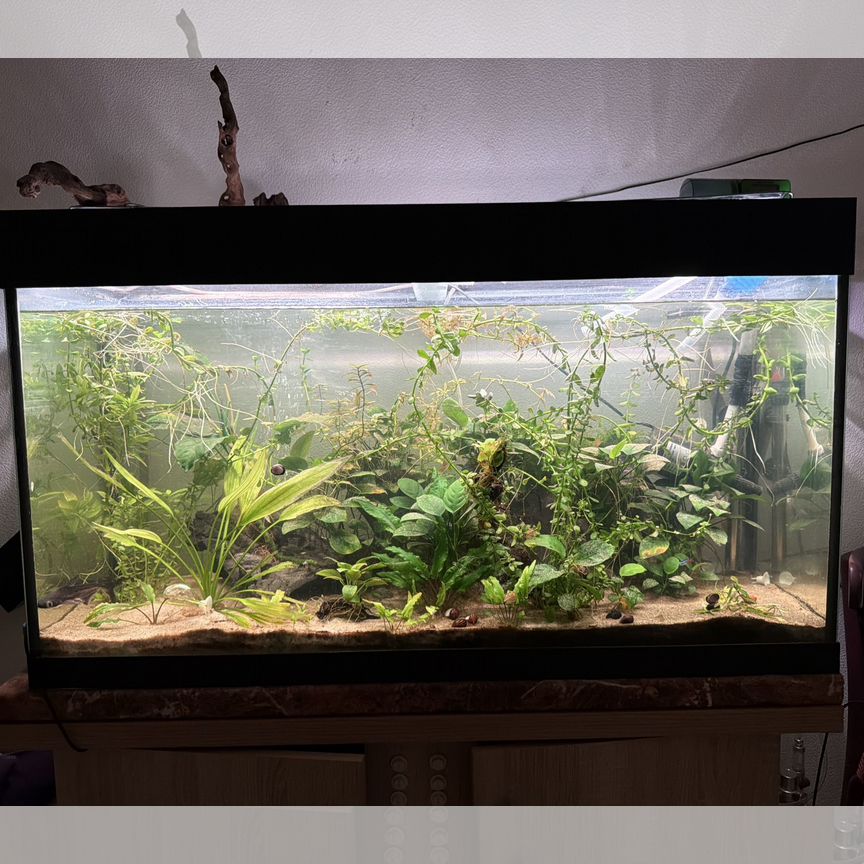 Аквариум с тумбой 200л