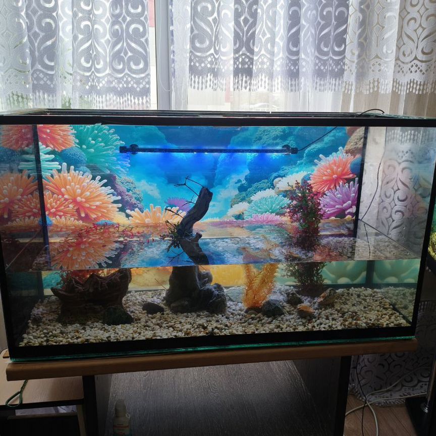 Аквариум с тумбой 200л