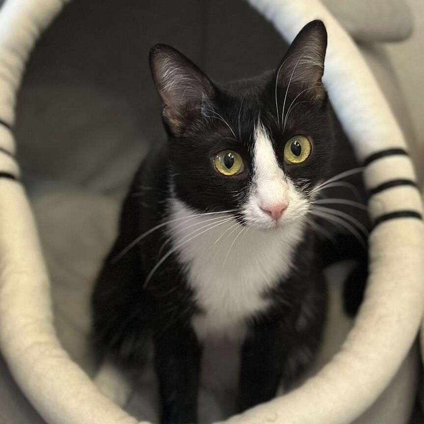 Максим в самые надёжные руки