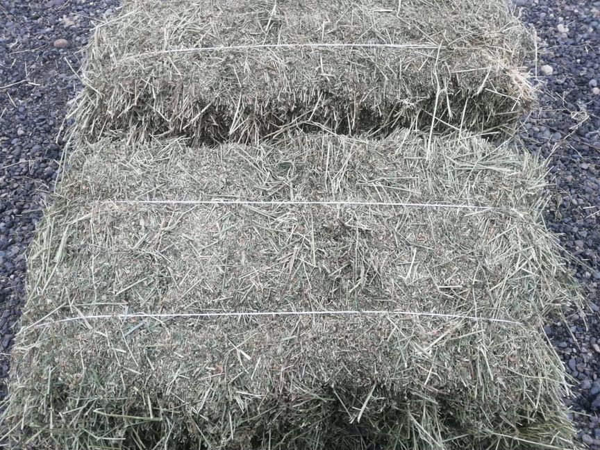 Люцерна в тюках