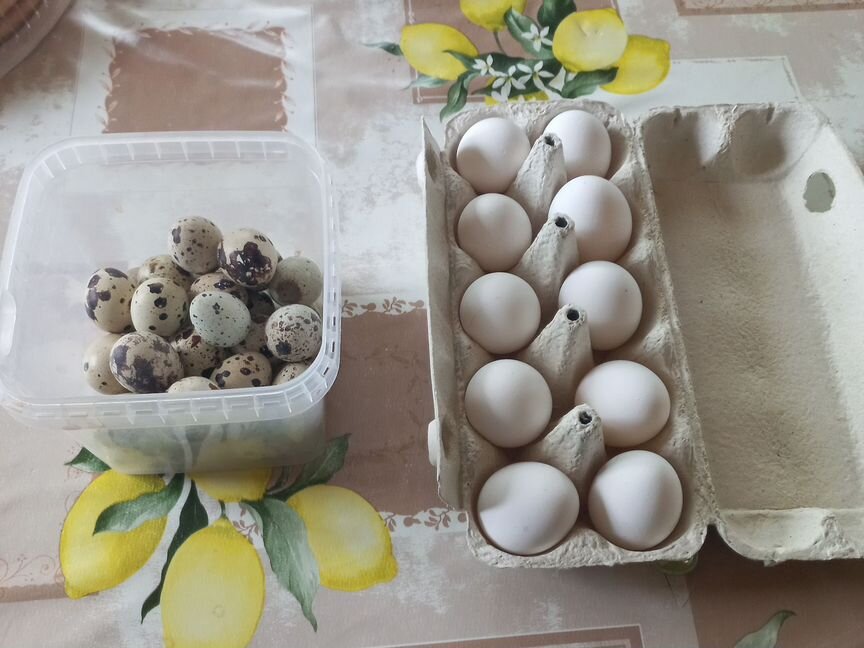 Яйца перепелиные домашние
