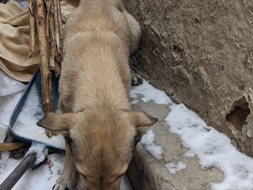 Маленькая девочка, нужна помощь