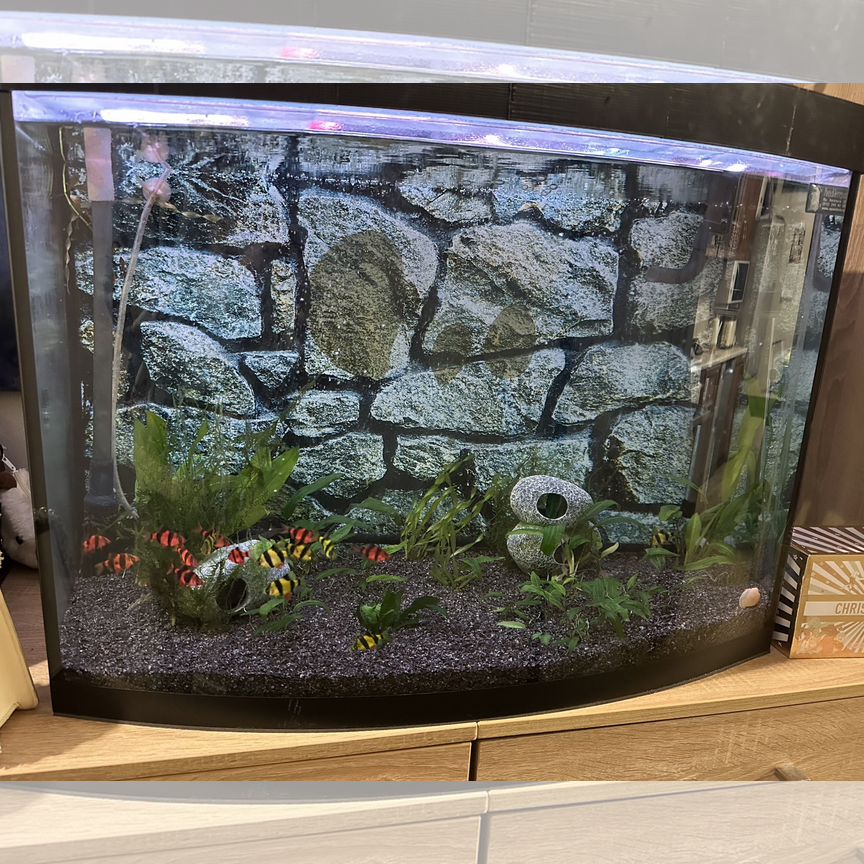 Аквариум 106 литров с крышкой