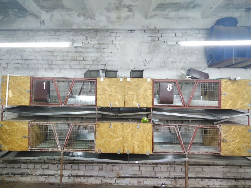 Клетки для кролей