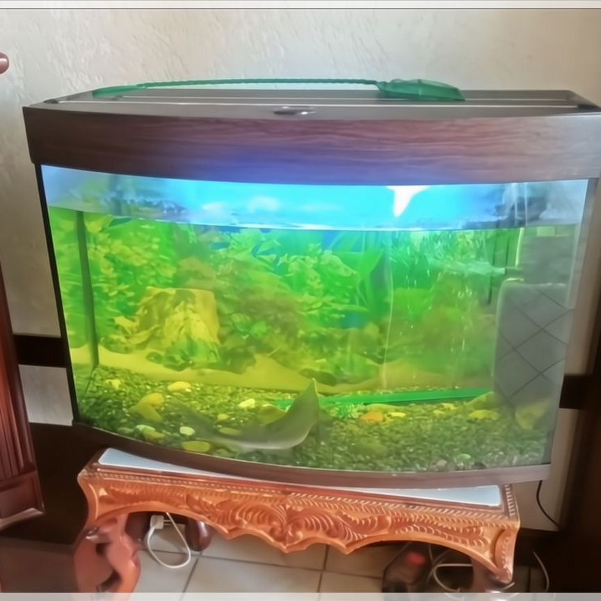 Аквариум большой 130л Аквариум малый 60 л