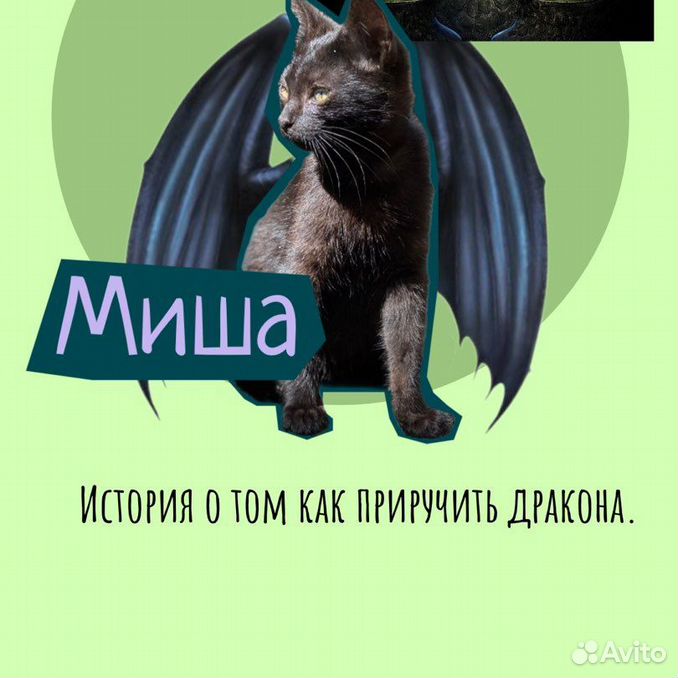 Дракон Миша в поисках дома