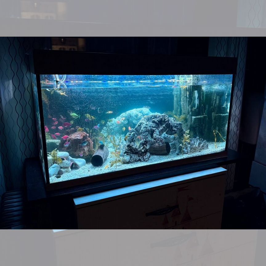 Аквариум 300 литров с рыбками